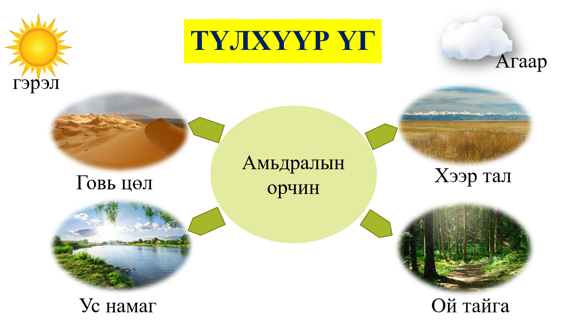 Мэдлээ Цахим контент